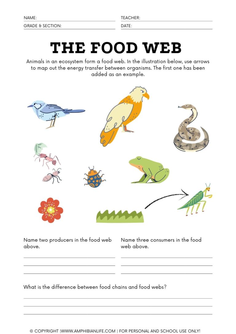 Top 100 Amazing Frog Facts for Kids - Amphibian Life