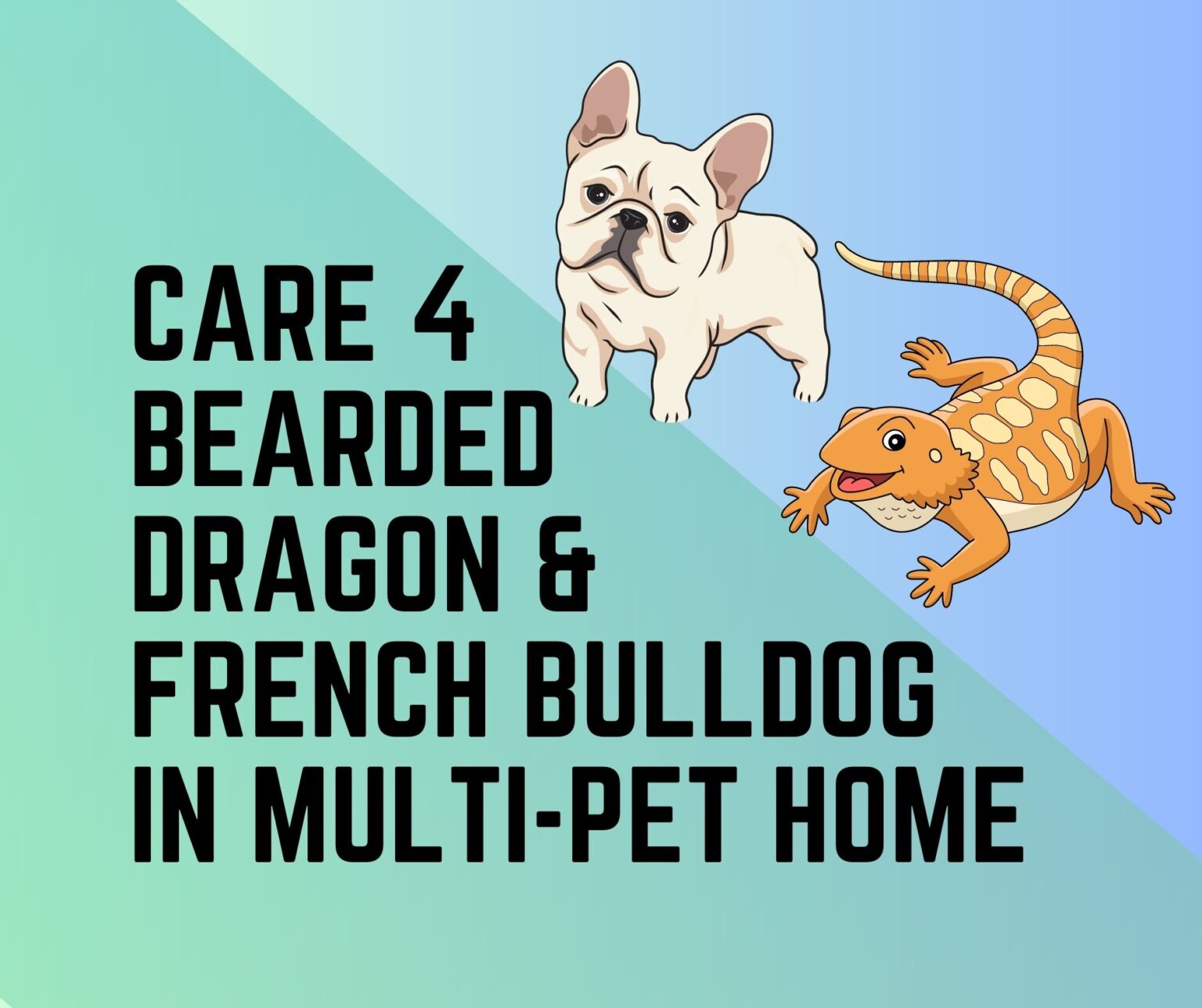Caring for a Bearded Dragon and French Bulldog in a Multi-Pet Household ...