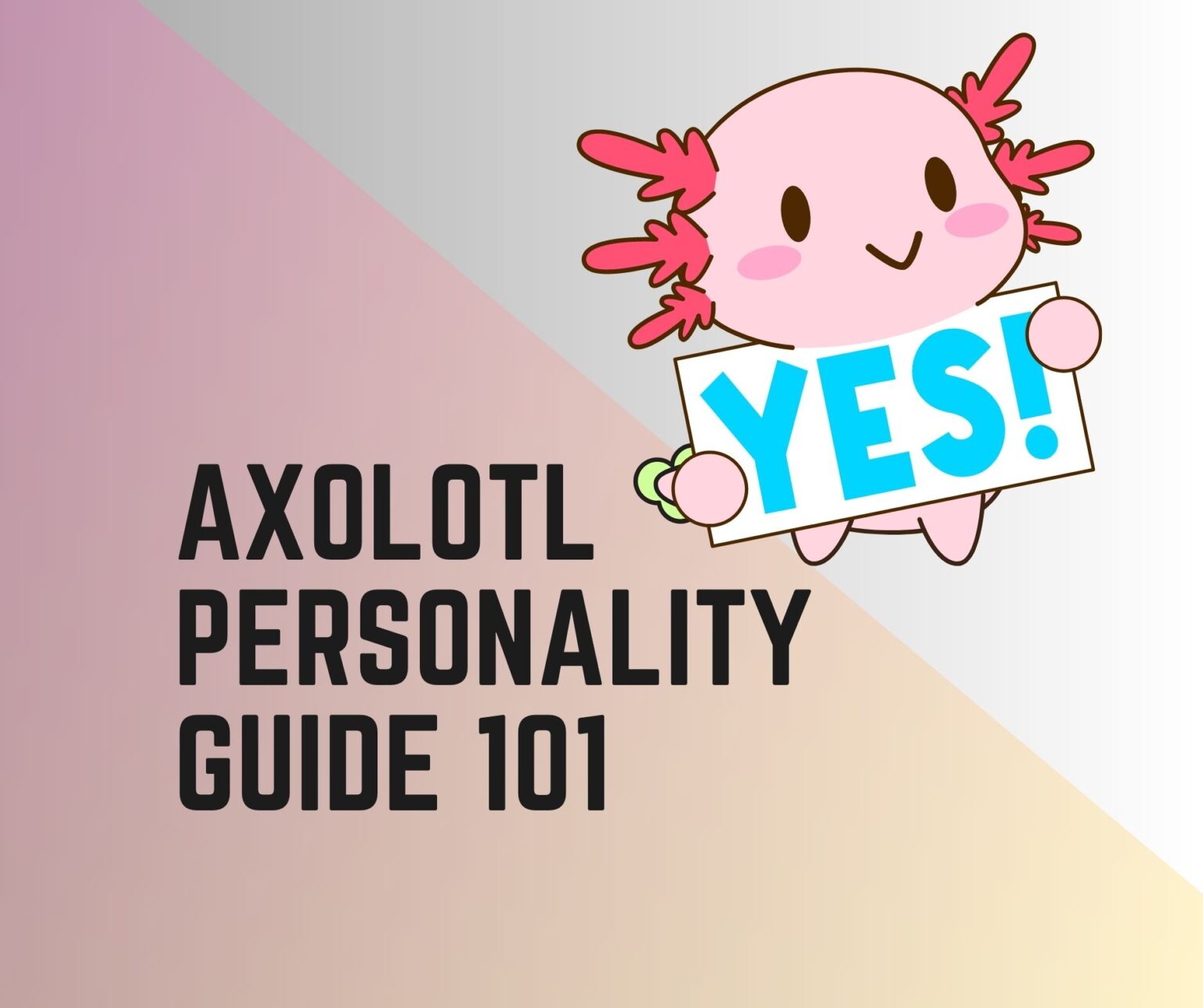 Axolotls Personality Guide 101 - Amphibian Life